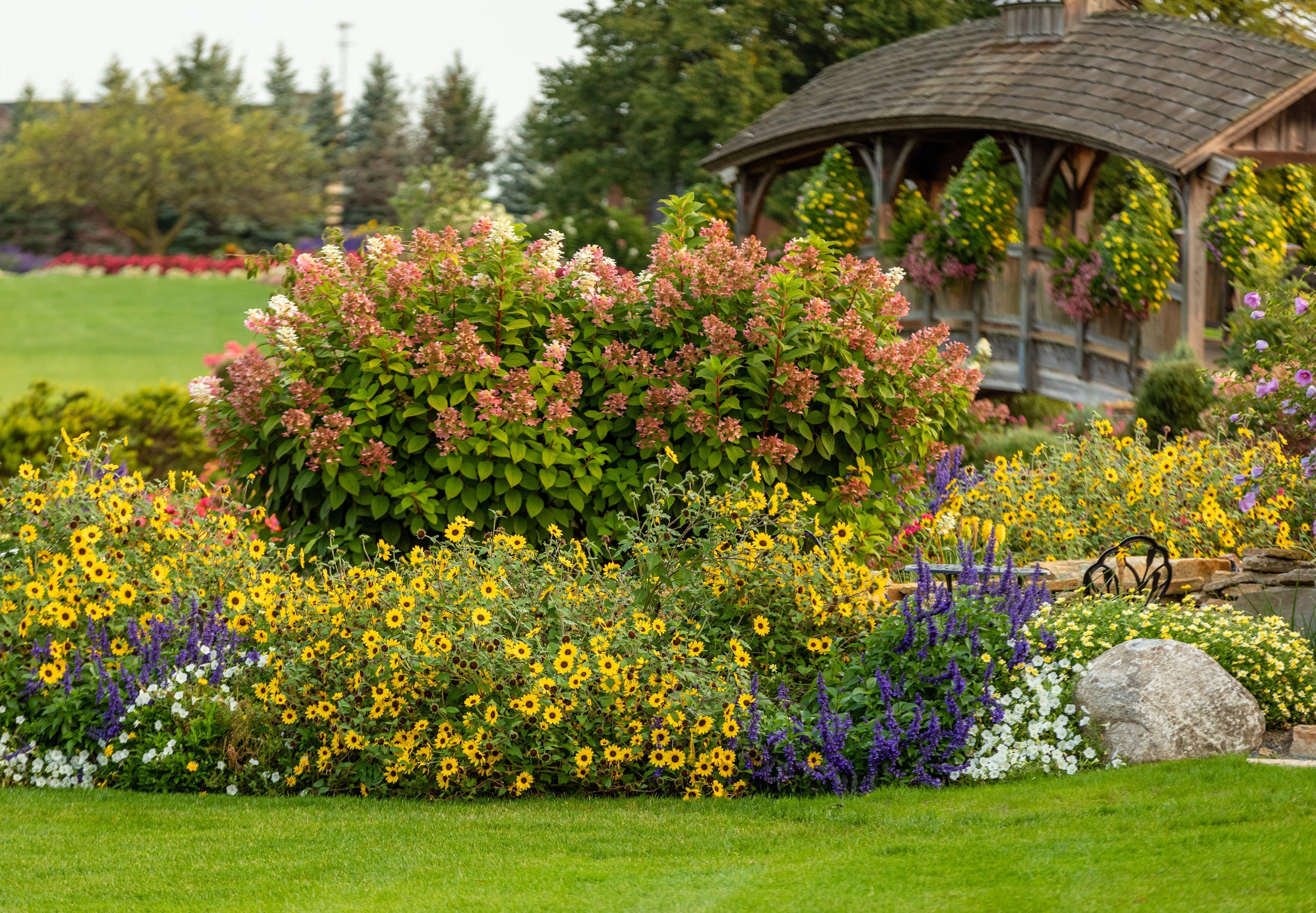 The First 3 Things To Consider When Planning a Garden – Proven Winners ...