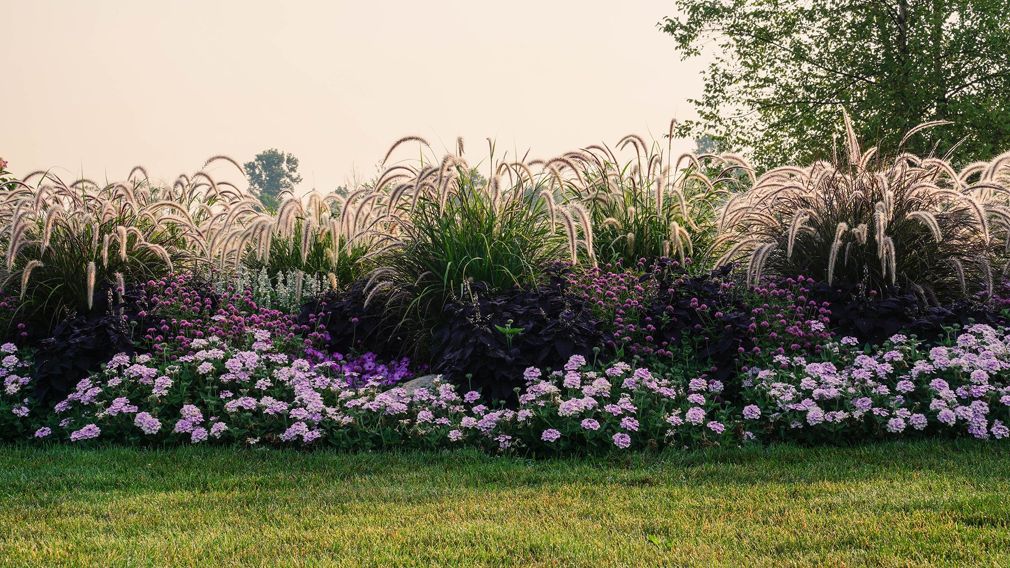 Garden Friends are Asking – Proven Winners Direct™