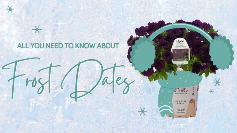 All You Need to Know About Frost Dates – Proven Winners Direct™