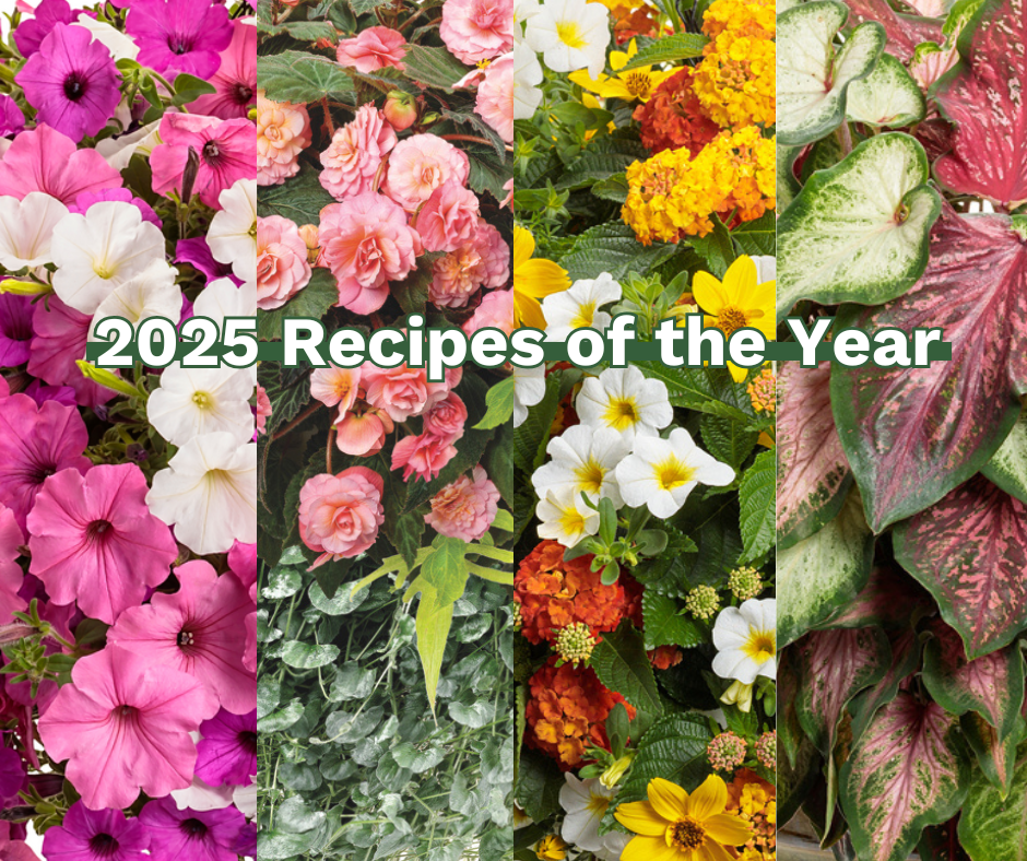 2025 Recipes of the Year – Proven Winners Direct™