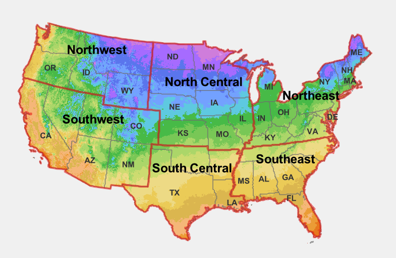 Plants that Thrive in Zone 9: A Guide to Subtropical Climate Gardening ...