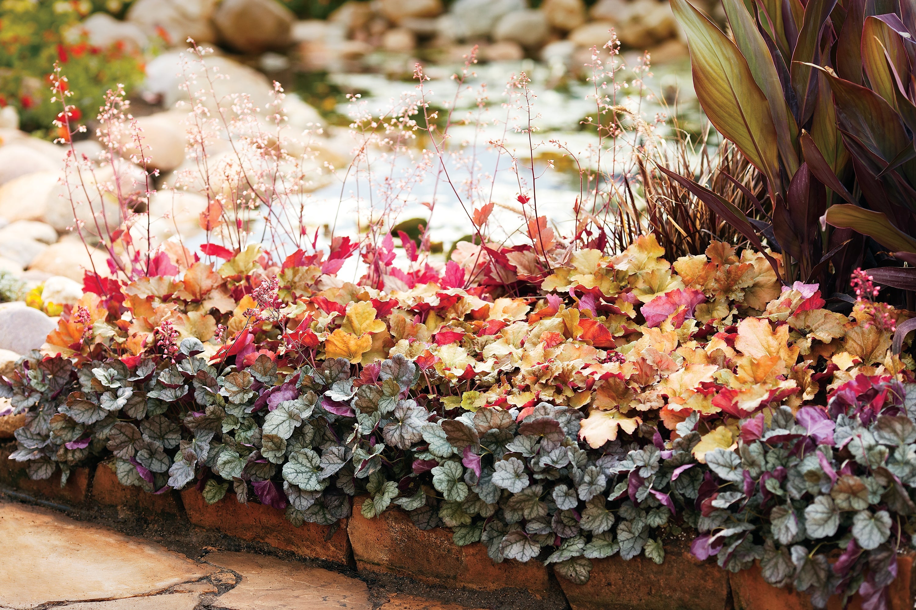 Fall Colors – Proven Winners Direct™
