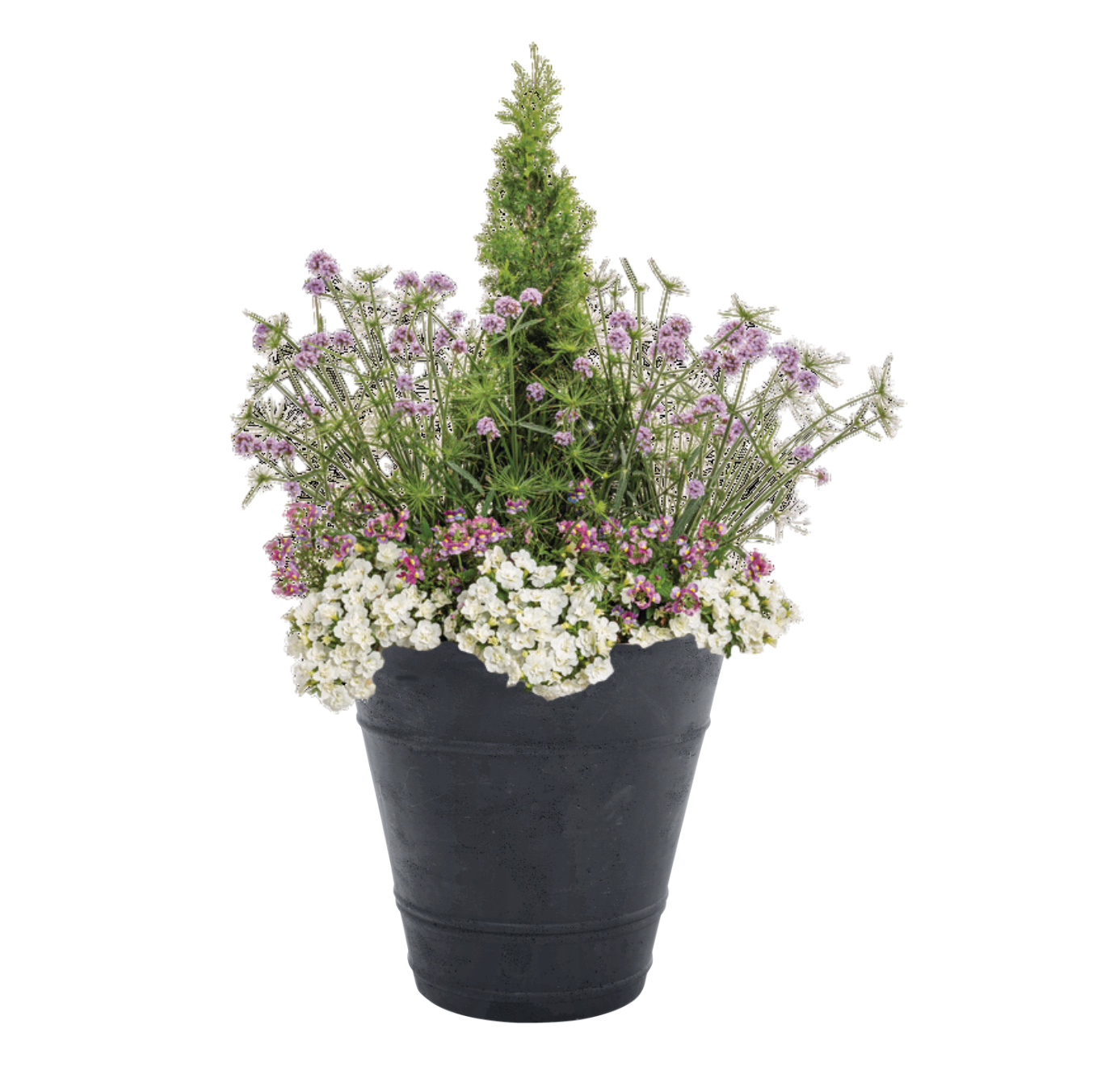 Self Watering Planters | Proven Winners Direct – Proven Winners Direct™