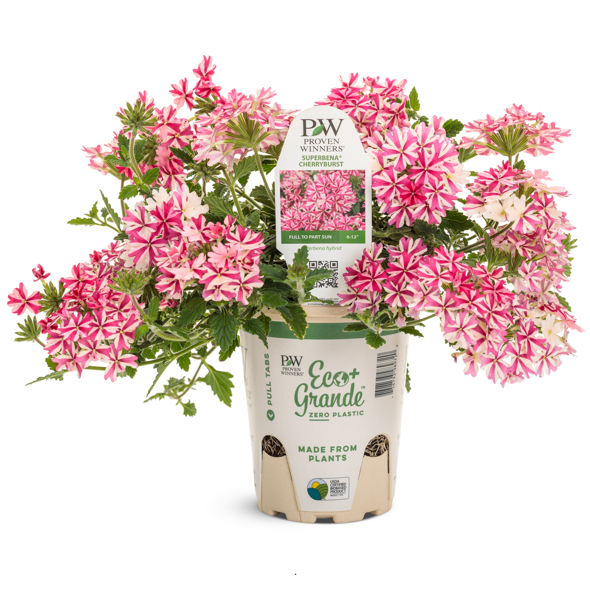 Shop The Largest Selection Of Proven Winners® Plants & Products Online ...