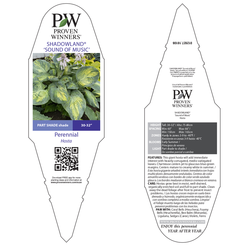Hosta | Shadowland® 'Sound of Music' | Proven Winners® Perennials ...