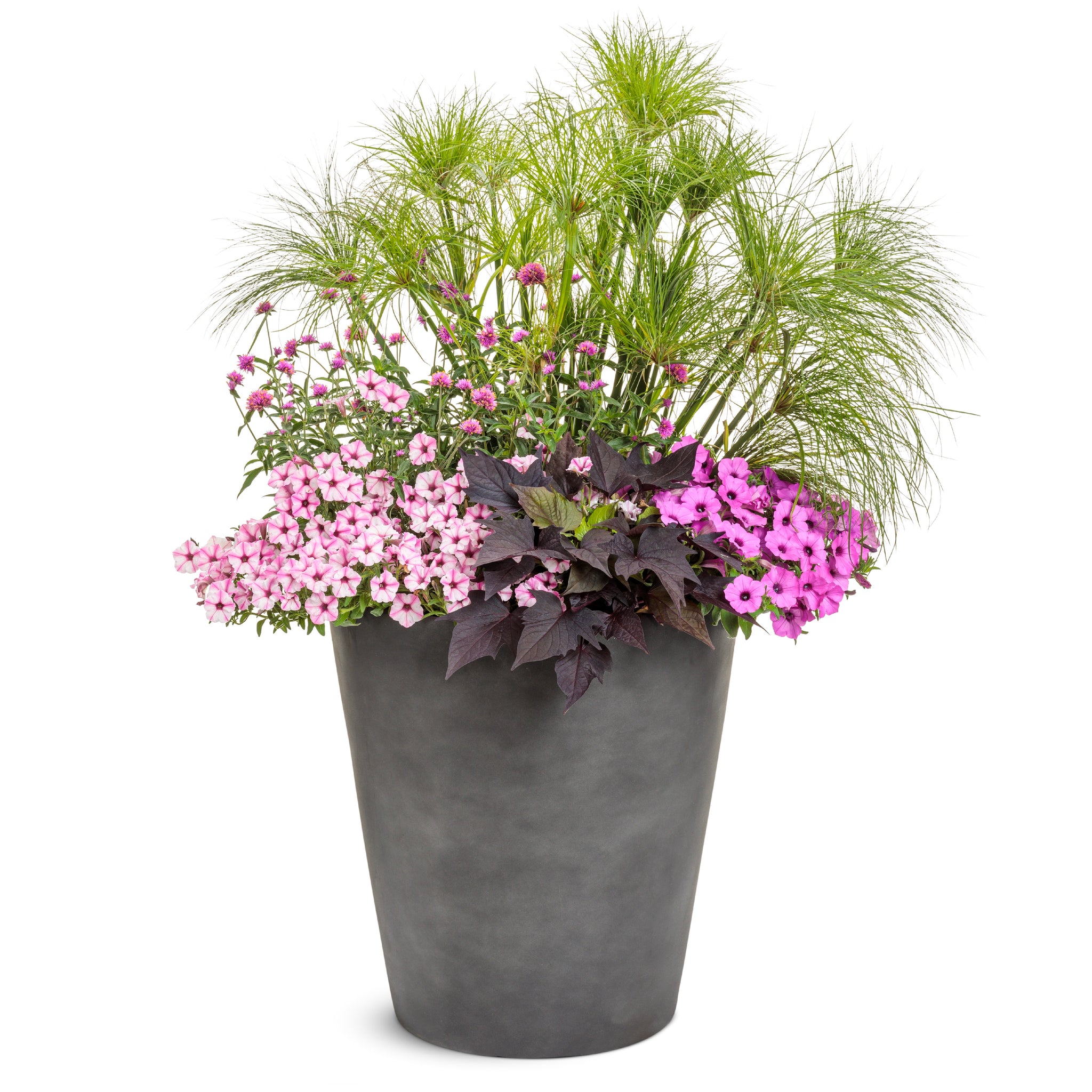 Self Watering Planters | Proven Winners Direct – Proven Winners Direct™