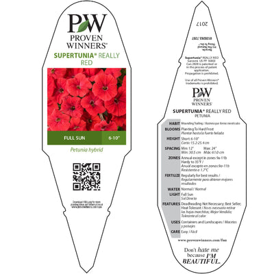Petunia | Supertunia® Really Red | Proven Winners® Annuals – Proven ...