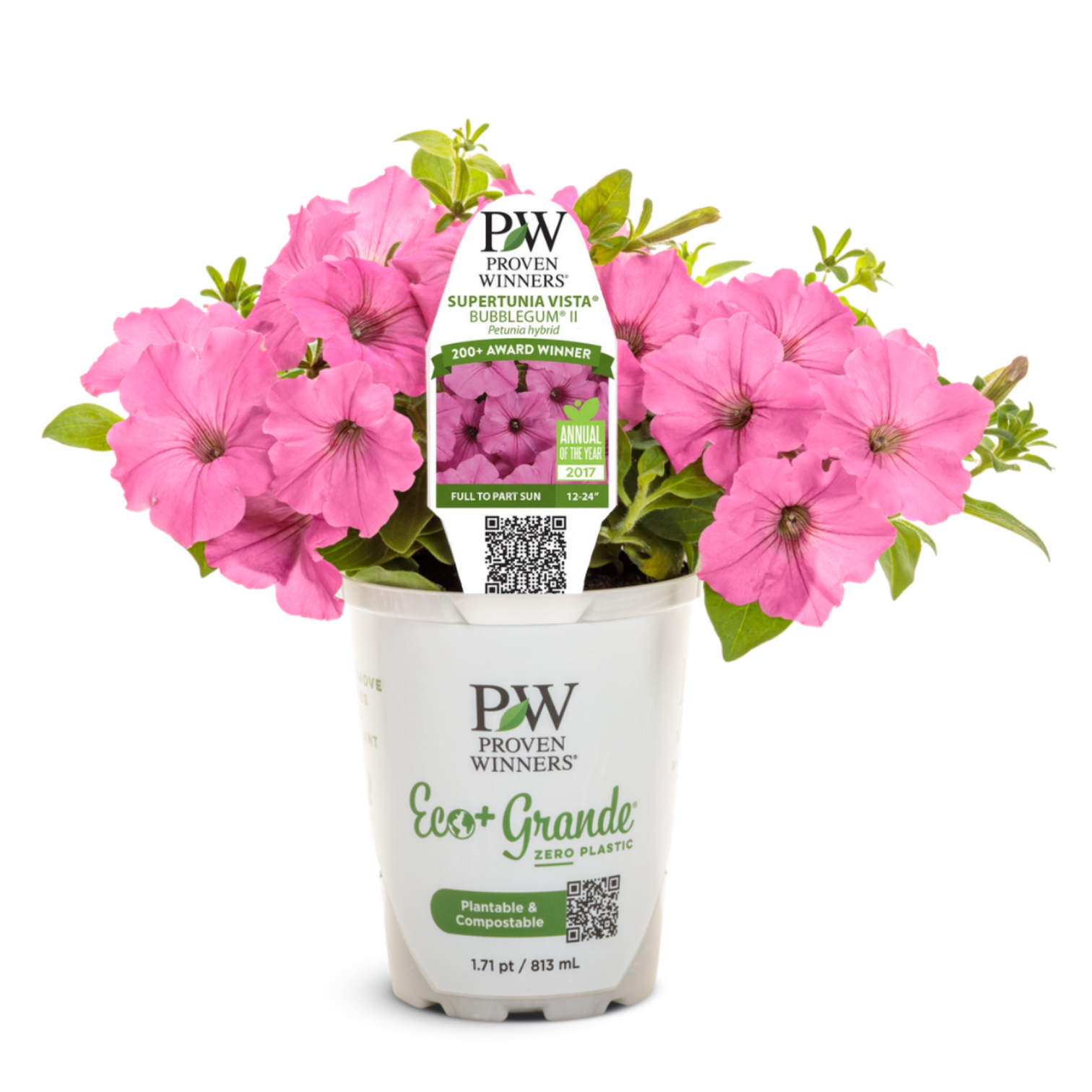 Shop The Largest Selection Of Proven Winners® Plants & Products Online ...