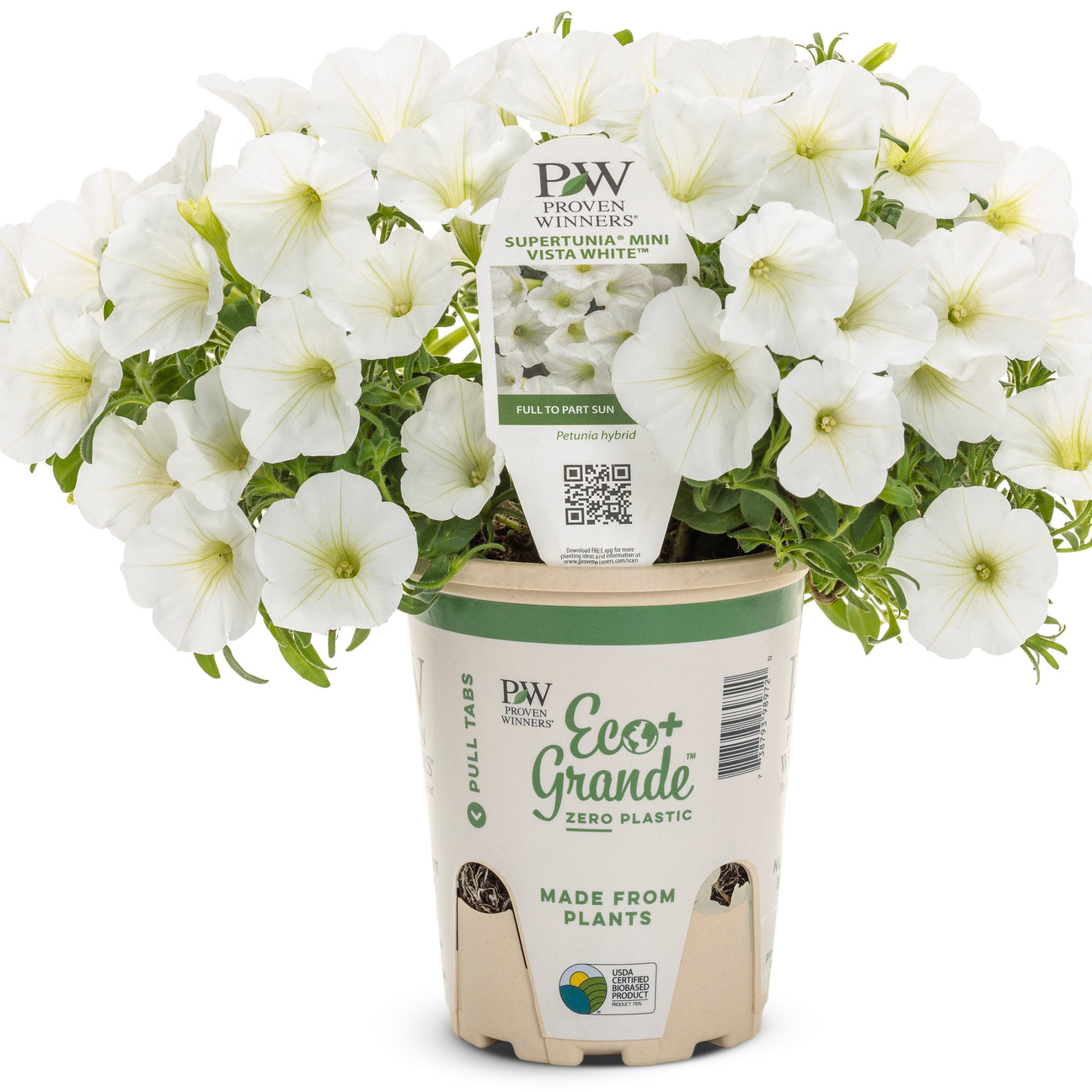 Supertunia Vistas – Proven Winners Direct™