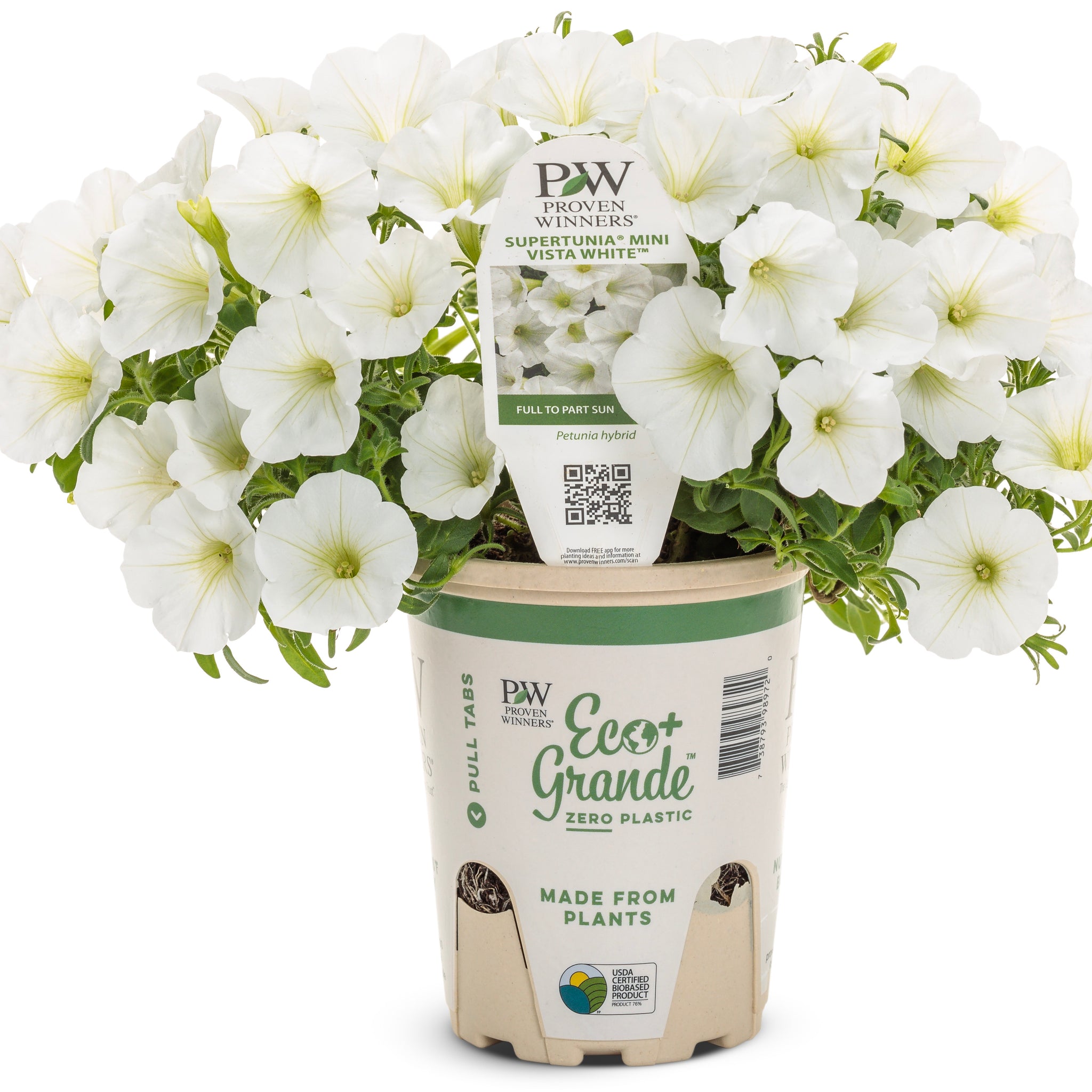 Supertunia Vistas – Proven Winners Direct™