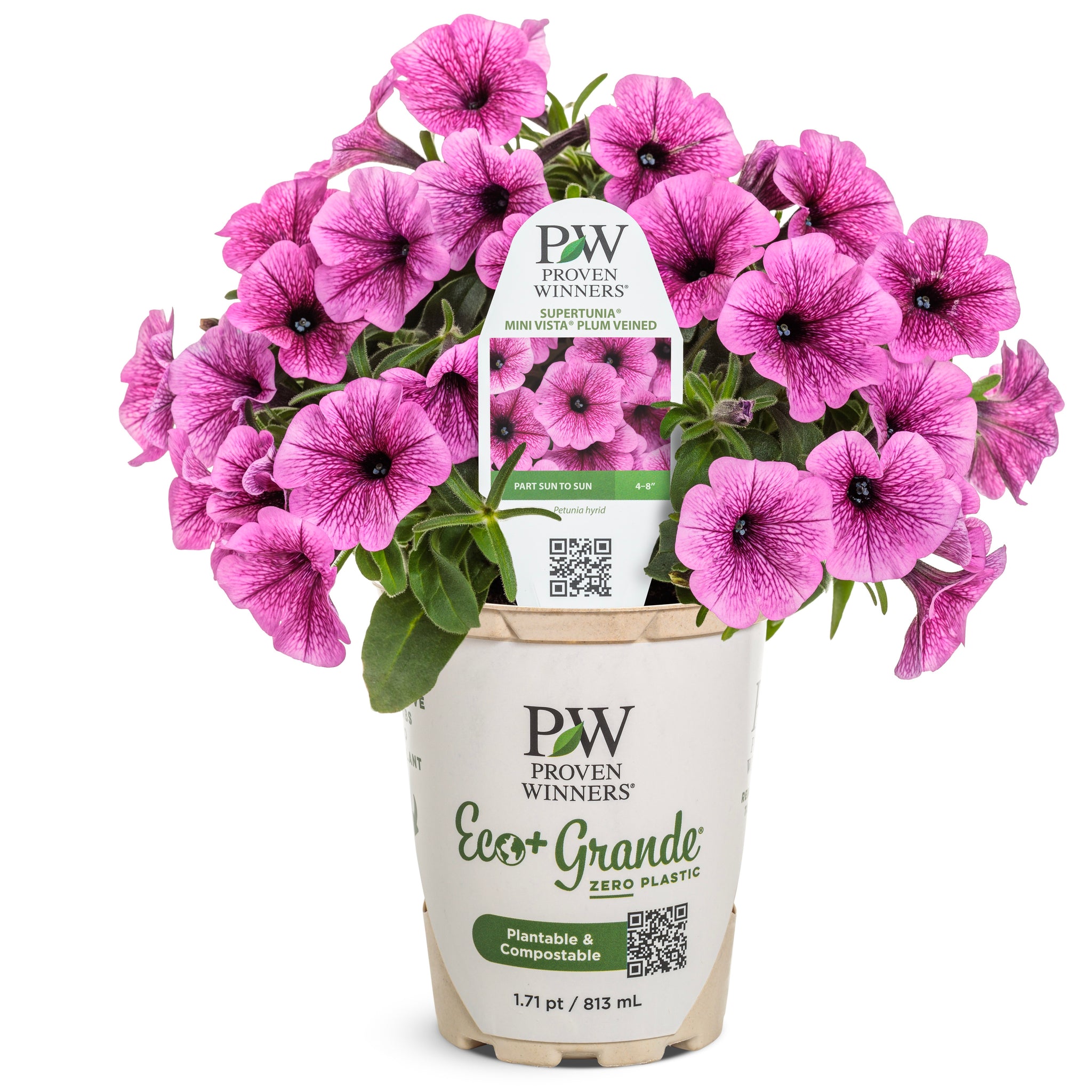 Shop The Largest Selection Of Proven Winners® Plants & Products Online ...